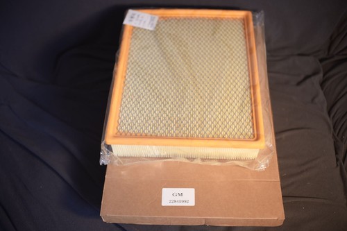 OEM Engine Air Filter Cadillac Escalade Chevrolet Silverado 25313349 ...