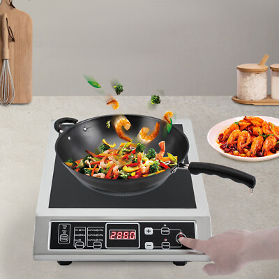 Induction Cooker Induction Cooktop Professional Countertop Induction ...