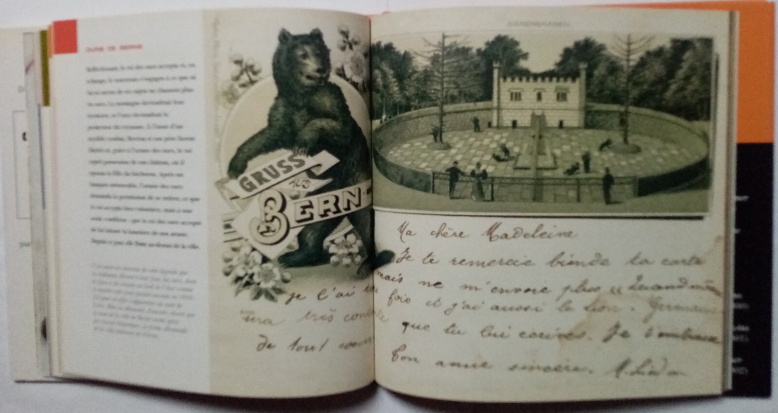 Livre : La Passion des ours - Dominique Pascal / Ours Italien Noir ...