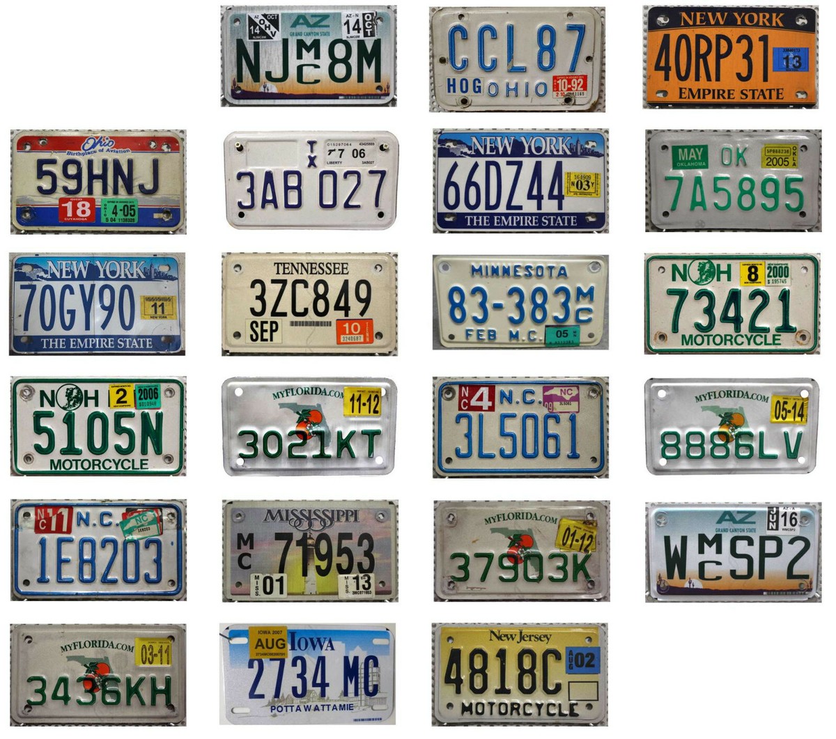 Amerikanisches Schild Tattoo Fotos Adler Schild | Freepik