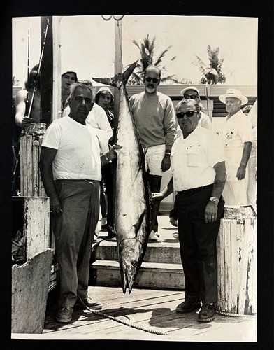 1972 Miami FL Fishermen Show Off Giant Caught Wahoo Fish Vintage Press ...