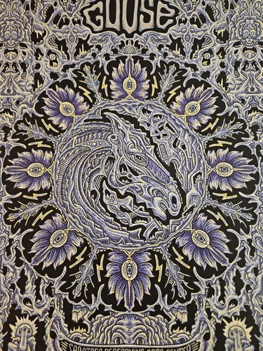 Goose SPAC 2024 Poster By Owen Murphy Saratoga NY Official Signed ...