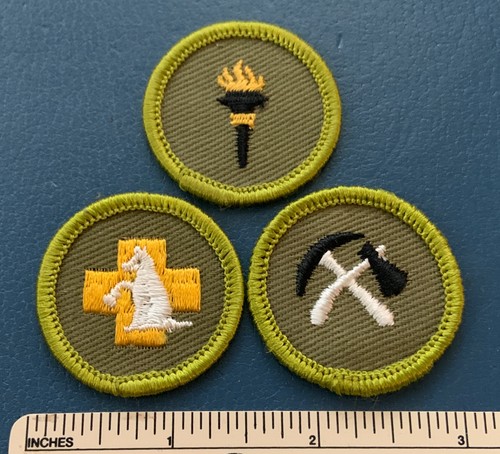 3 Vintage 1960s BOY SCOUT Merit Badge PATCHES BSA First Aid to Animals ...