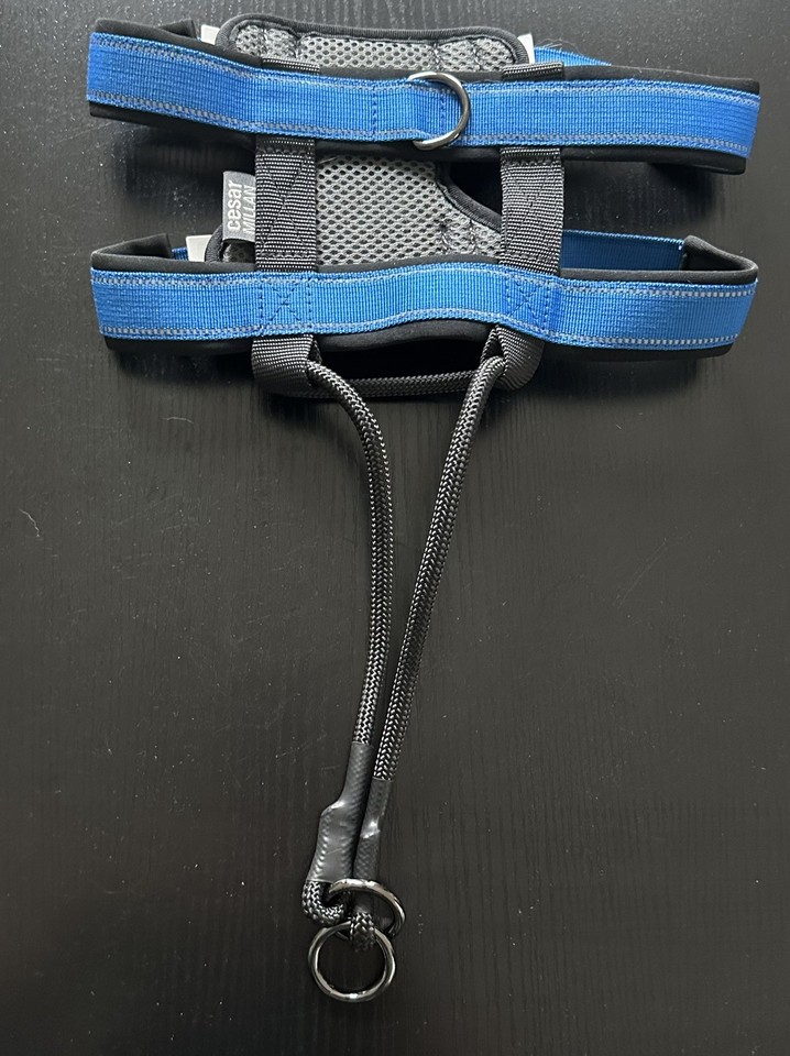 Cesar Millan Pack Leader Collar Small Training Collar of The Dog ...