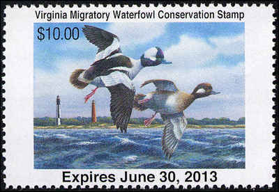VIRGINIA #25 2012 STATE DUCK STAMP BUFFLEHEADS LIGHTHOUSE by John ...