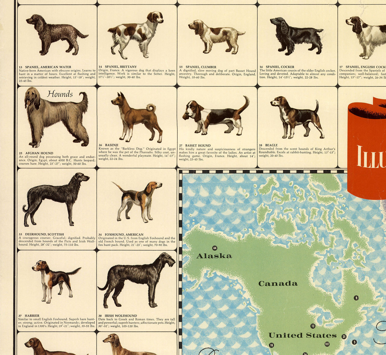 All Dogs In The World Chart