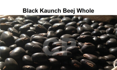 Mucuna Pruriens Black Kaunch Beej Cowhage Cowitch Velvet Bean 500gm (17 ...