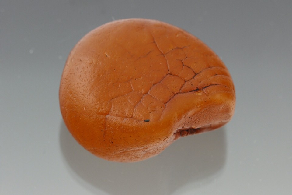 Genuine BALTIC AMBER Natural Raw Rough Drop Nugget Piece Stone 9.8g ...