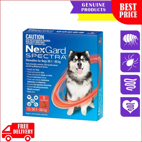 NEXGARD SPECTRA 6 Chews for 30.1 to 60 Kg Dogs RED Pack Heartworm Flea ...