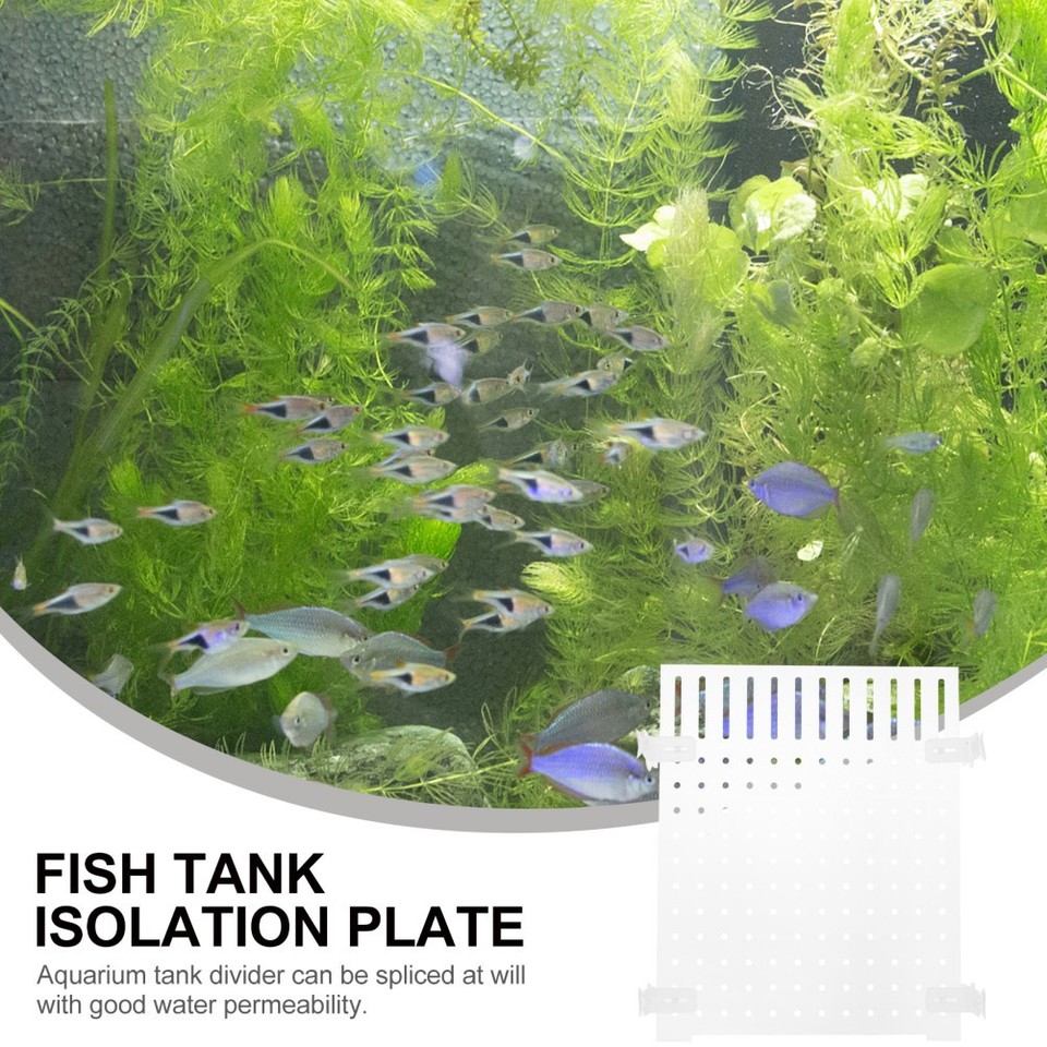 Transparent Fish Tank Divider Acrylic Aquarium Supply Tank Separator ...