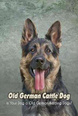 Old German Cattle Dog Is Your Dog Old German Herding Dogs? Is by ...