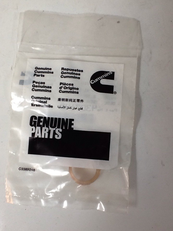 Cummins SEAL,INJECTOR 4307148 (CT1) | eBay