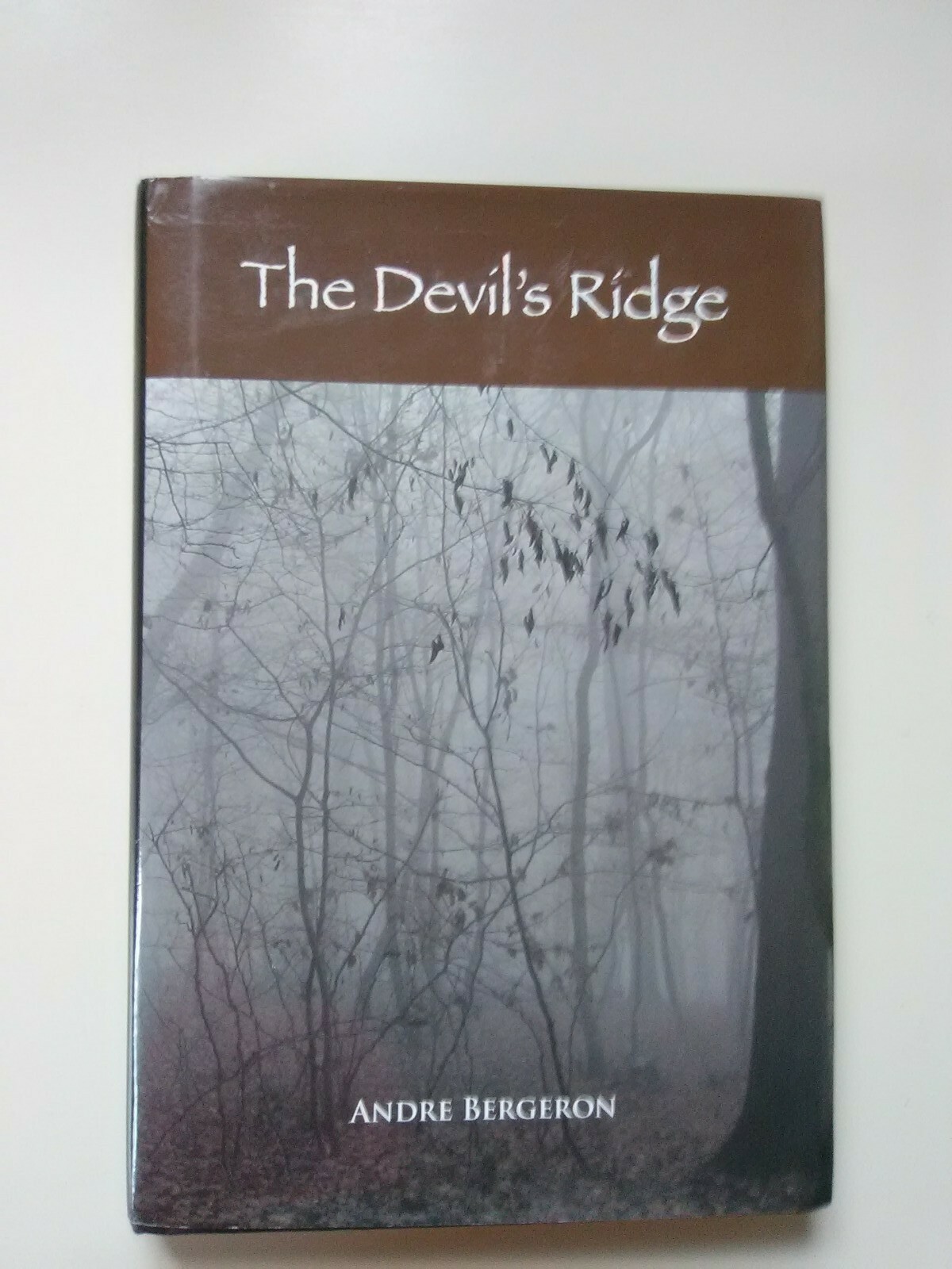 THE DEVIL'S RIDGE BY ANDRE BERGRON 2008 HARDCOVER 9781601360168| eBay