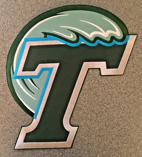 2005-14 TULANE GREEN WAVE NCAA COLLEGE VINTAGE LARGE 8.75" TEAM LOGO ...