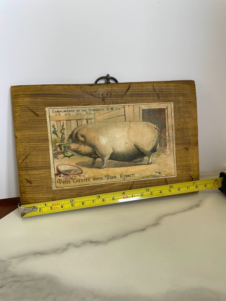 Vintage Hand Crafted Advertising Pig Card Plaque | eBay