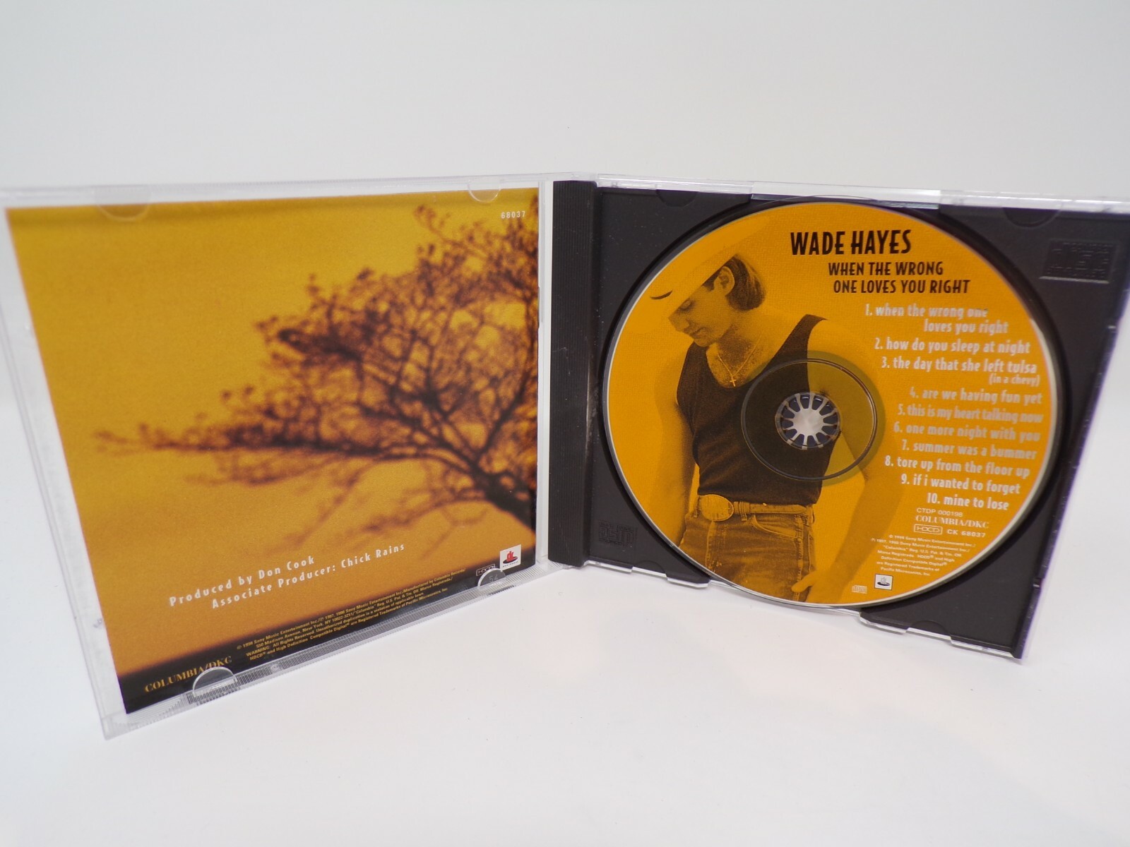 When the Wrong One Loves You Right by Wade Hayes (CD, Jan-1998, Sony ...