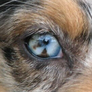 Marble Eye Goods | eBay Stores