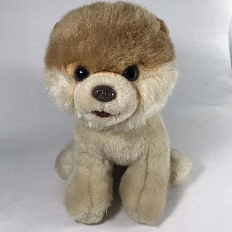 Boo The Worlds Cutest Dog GUND 10" Plush Stuffed Animal Puppy | eBay