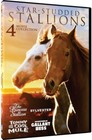 Star-Studded Stallions - 4 Heartwarming Horse Films: Princess Stallion ...