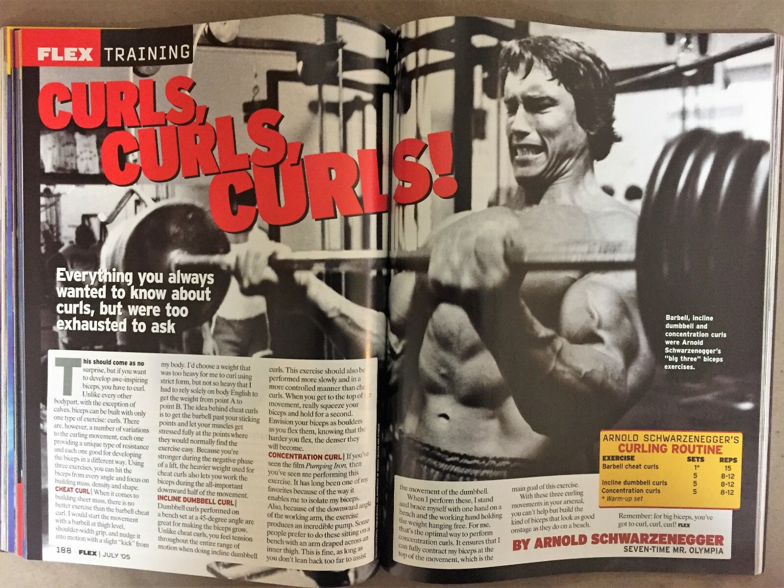 FLEX bodybuilding muscle magazine/ TROY ALVES / 07-05 | eBay