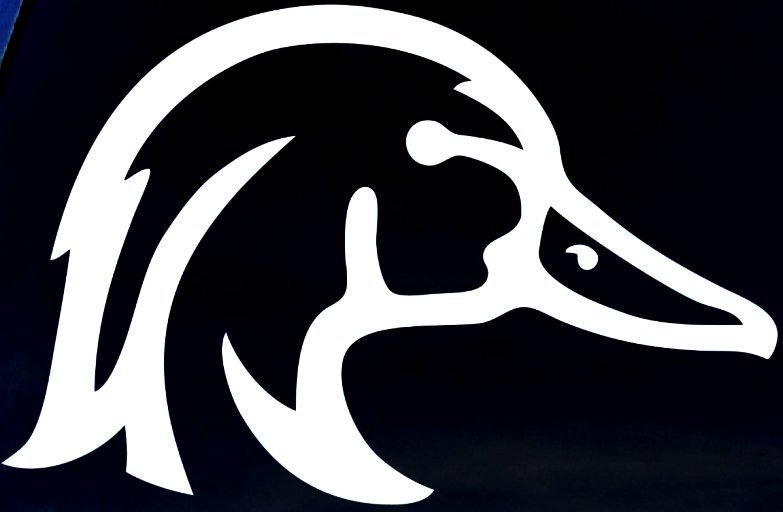 5" wide Wood Duck Window Decal ~ Choose Decal Color ~ Great Gift | eBay