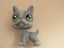 Littlest Pet Shop LPS Blue dog, Boston Terrier, bat eyes 857 | eBay