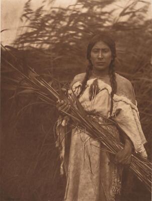 Edward Curtis The Rush Gatherer Arikara 1908 17"x 22" Archival Art ...