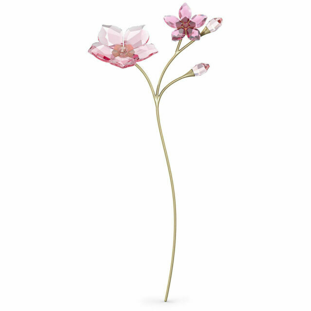 Swarovski Garden Tales Cherry Blossom Flower Figurine (5557797) for ...