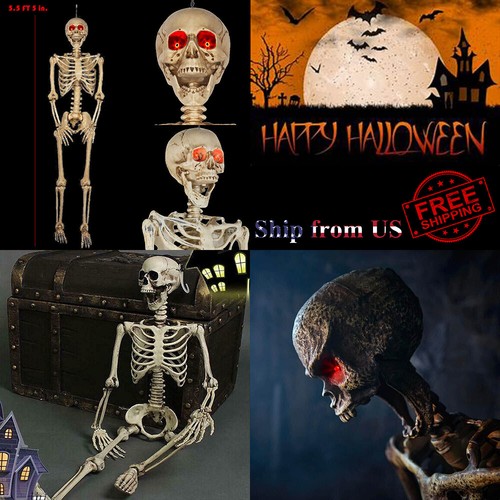 5ft5" Halloween Horror Poseable Skull Skeleton Human Life Size Party ...