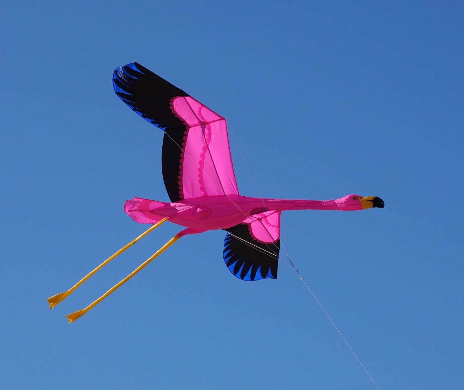 Pink Floyd Flamingo Flying! Beautiful kite designed by Joel Scholz! Sky ...