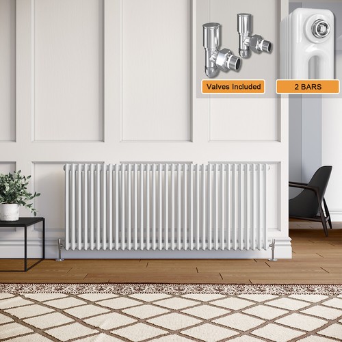 White Traditional Radiator 2 Double Column Cast Iron Rads 600x1505 With ...