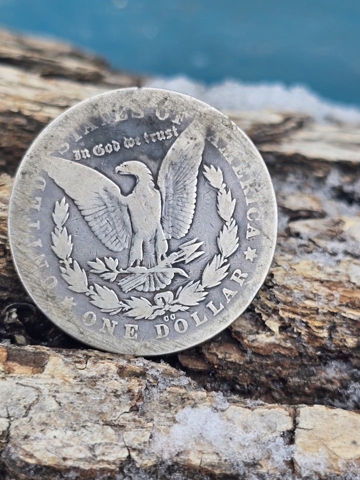 1880 CC MORGAN SILVER DOLLAR KEY DATE CARSON CITY | eBay