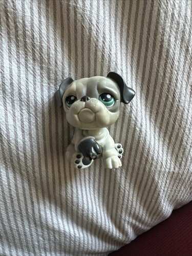 Littlest Pet Shop #446 Bulldog Gray Puppy Dog Blue Eyes Hasbro ...