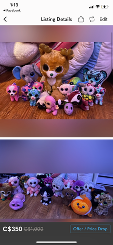 beanie boo lot of 70 | eBay