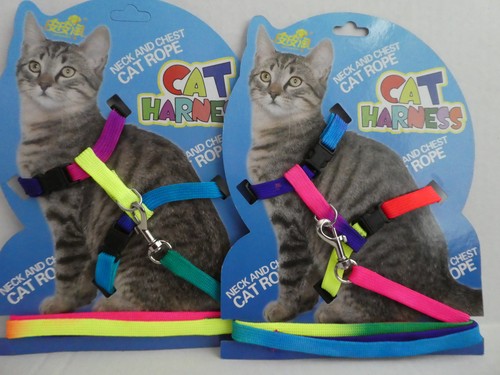 (H012) Multi Coloured Cat Kitten Small Puppy Adjustable Harness & Lead ...