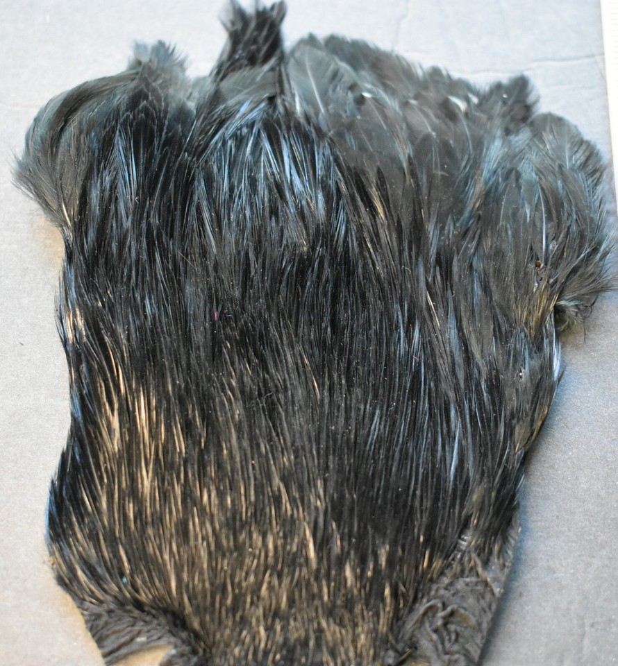 Lot 121, Dyed Black India Rooster Streamer Neck Cape Feathers Fly Tying ...