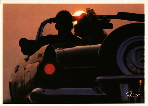 CPM FORD T. BIRD, DINGO 1988 (d2074) | eBay