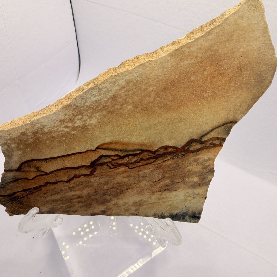 Old Stock African Queen Picture Jasper Slab Namibia 282g - 8" Polished ...