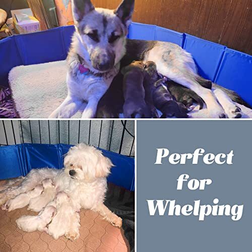 Whelping Pen for Dogs,Whelping Box for Dogs 39inch Dia.x12inch H ...