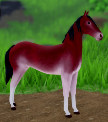 Wild Horse Islands Valentine's Limited Burgundy Dapple Akhal-Teke | eBay