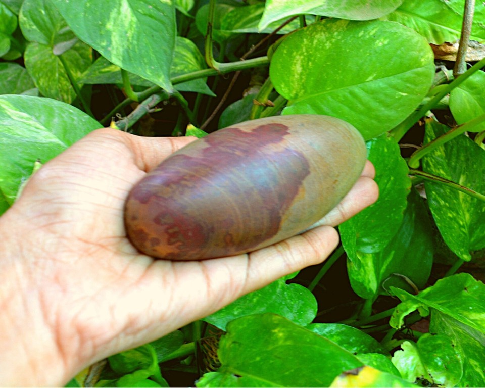 Unique Shiva Lingam Shiva Stone Shivalinga stone Narmada River India~I ...