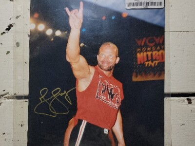 Lex Luger Autograph 8x10 WCW NwO Wolfpack | eBay