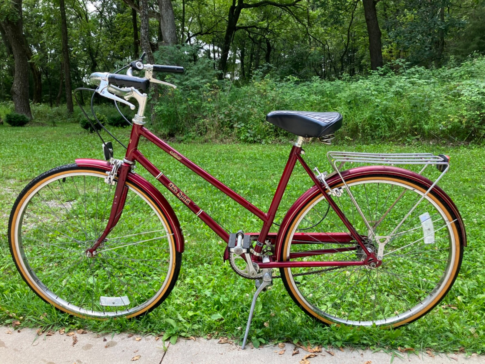 Vintage Sears and Robuck 3 speed free spirit Brittany bicycle | eBay