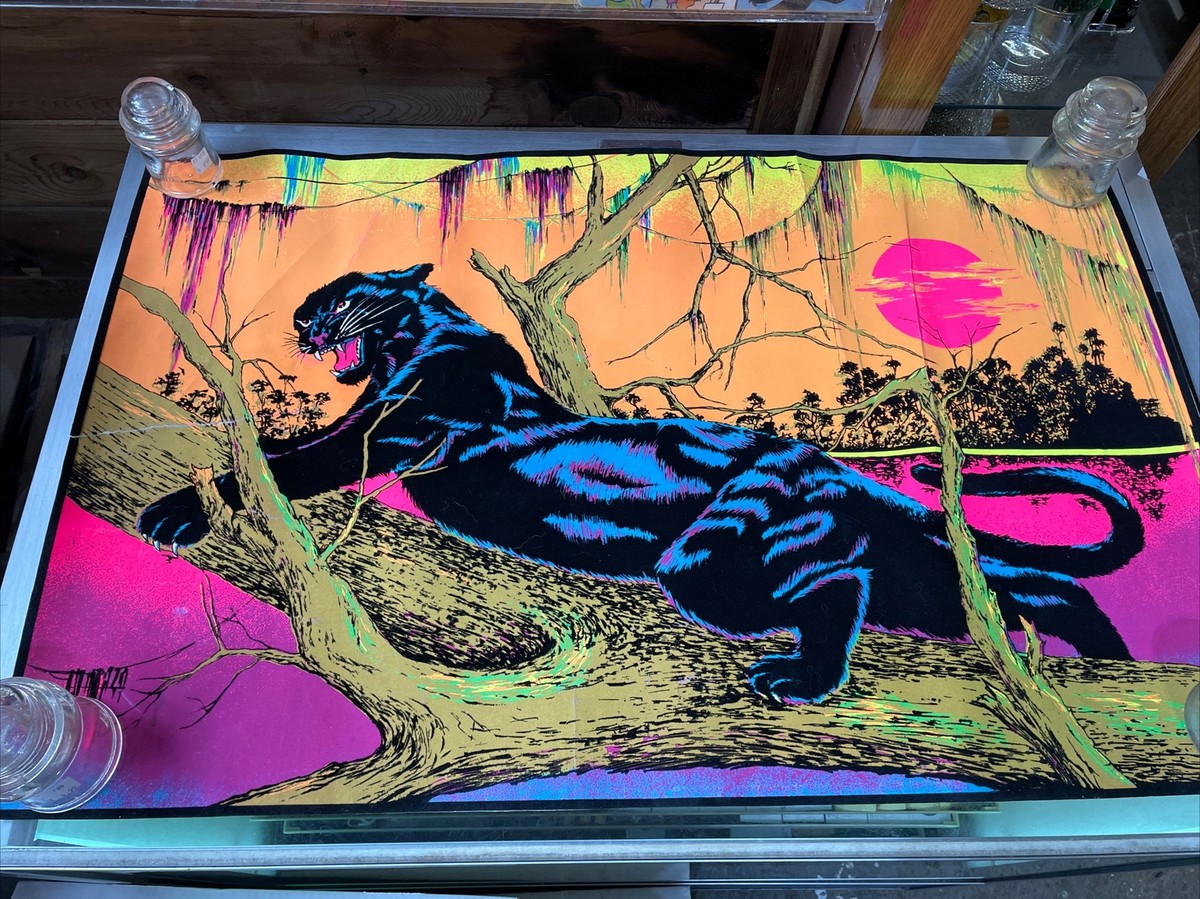 Old Velvet Posters Buy Velvet Art Poster, 8” X 10” (Pack Of 10) At