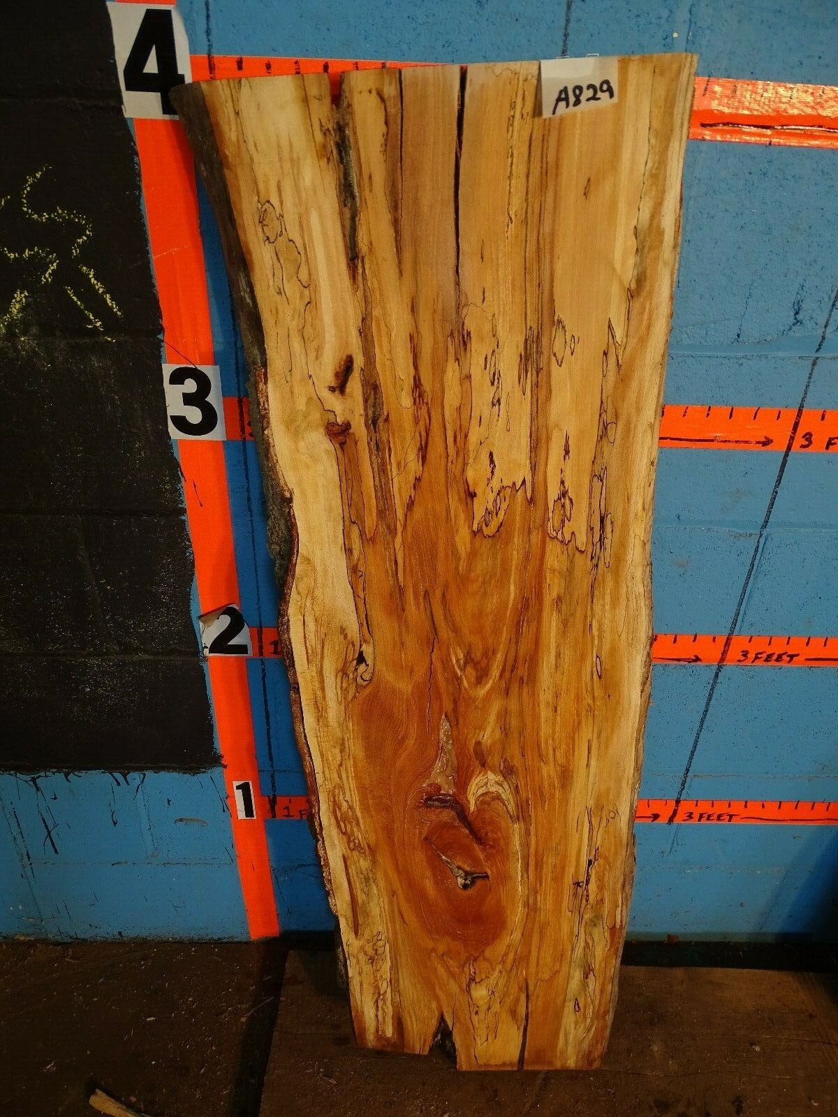 #A829 2 3/8" THICK spalted beech live edge slab table top end table | eBay