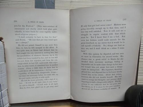A CHILD OF MARY - 1885 - BY CHRISTIAN REID - HARDCOVER | eBay