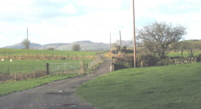 Photo 6x4 The farm road to Coed-y-garth Farm Llwyndyrys/SH3741 The ...