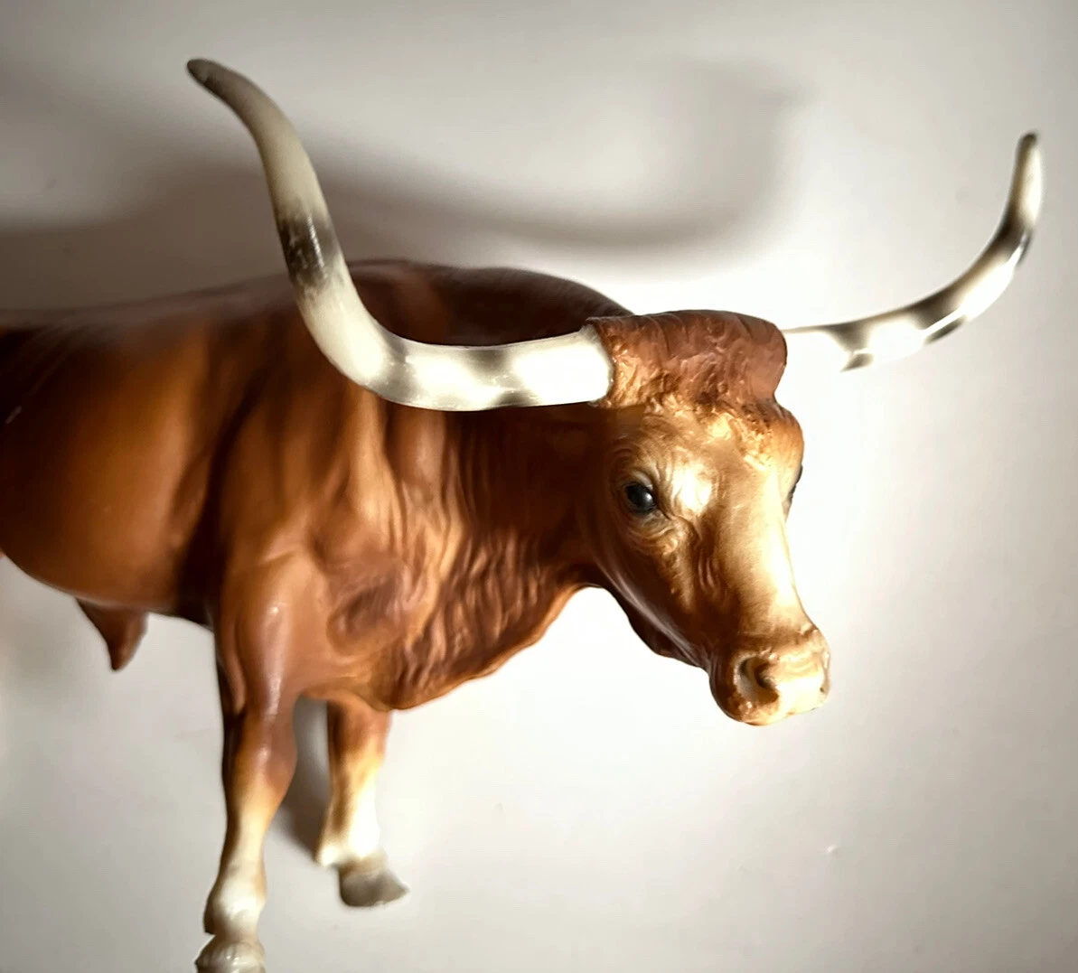 Longhorn Bull Face