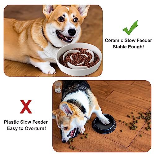 Slow Feeder Dog Bowls, 1.5 Cup Puppy Slow Eating Bowl, Dog Slow Food ...