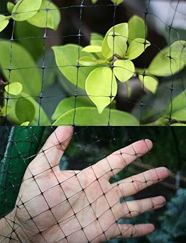 Garden Fence Landscape Deer Fencing Animal Protects Strong Netting ...